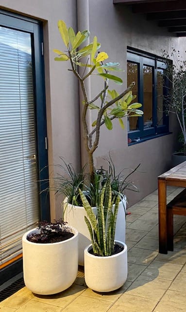 Outdoor Decor | Shop Designer Pots & Planters In Perth WA