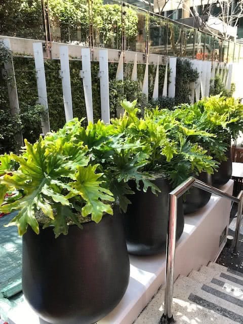 Bell Planter - Premium Terrazzo & Polystone Elegance