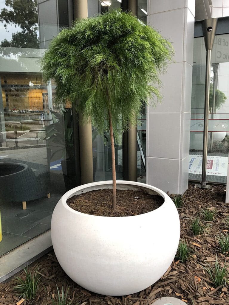 Ball Planter: Modern Design & Stability in Polystone Resin