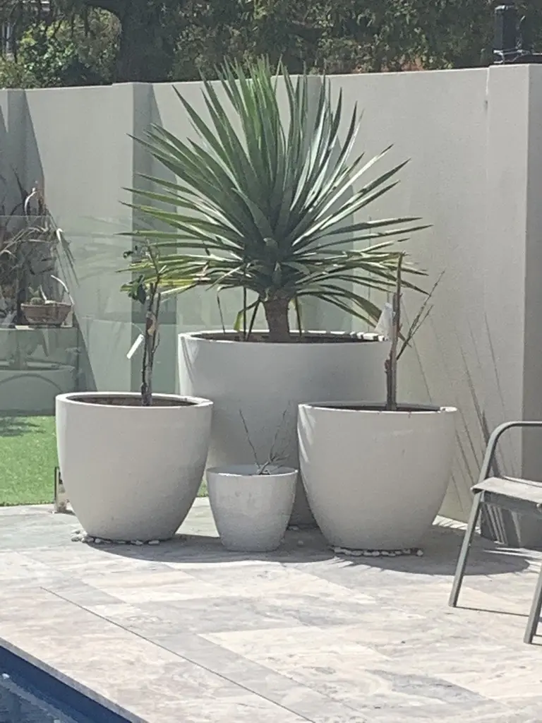 Egg Planters: Unique Oval Shape for Showing Plant in Style