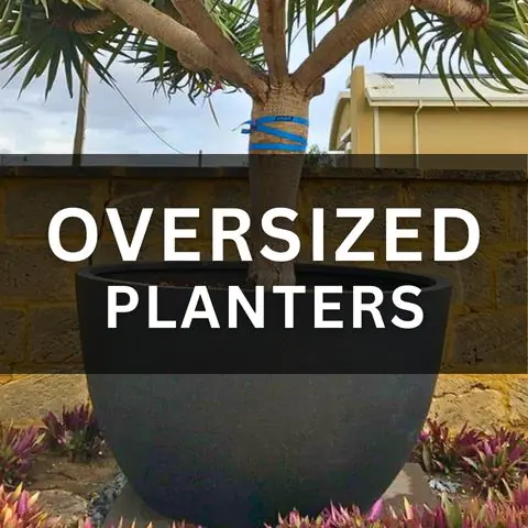 Oversize Planters: Giant Pots for Outdoor Garden in Perth WA
